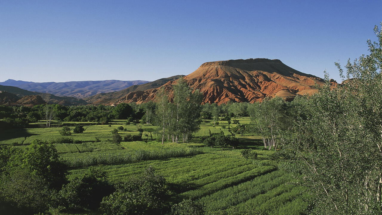 Maroc: le plan Maroc vert présenté au Salon de l'Agriculture à Paris ...