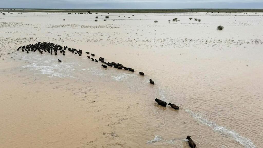 Australian PM to tour outback flood disaster zone