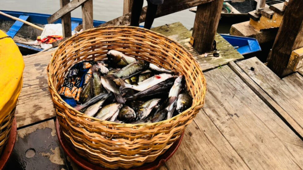 Le Dakouin de la cheffe Prisca - La vie ici