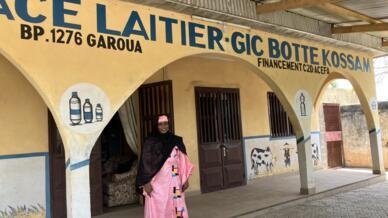 À Garoua, le yaourt produit localement, le pari gagnant de «Botte ...