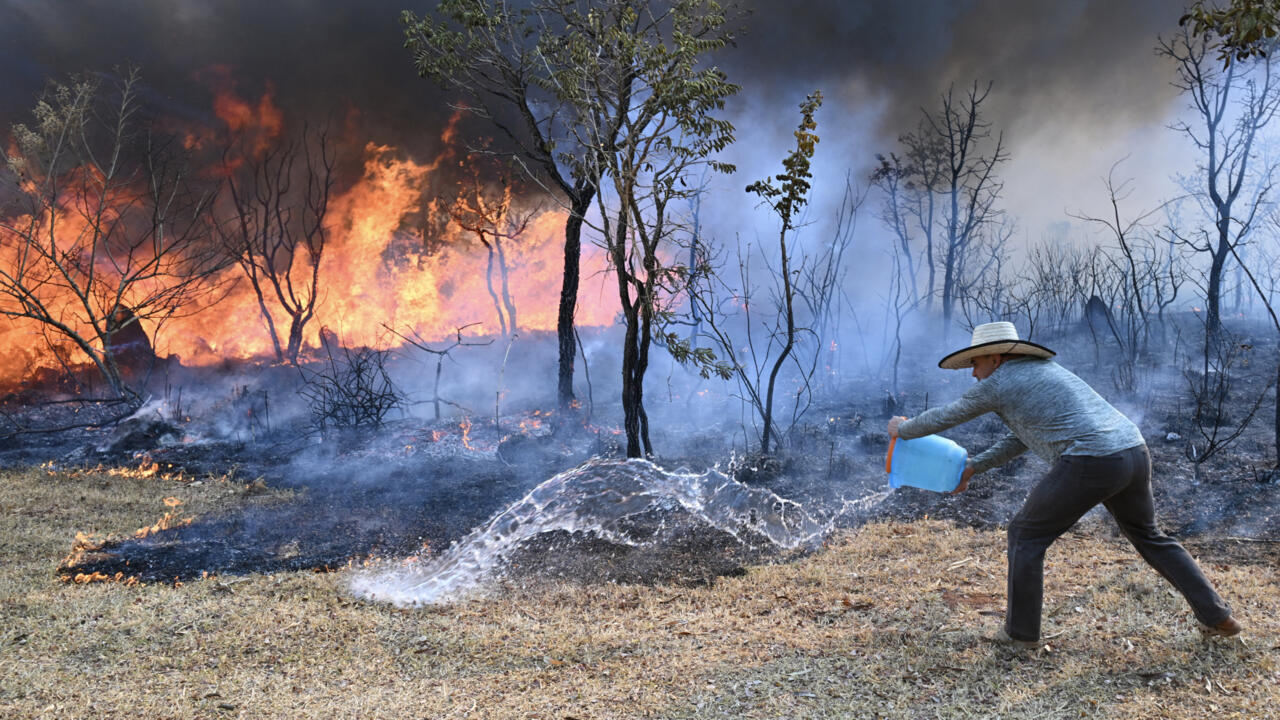 2024 'certain' to be hottest year ever as emissions continue to drive ...