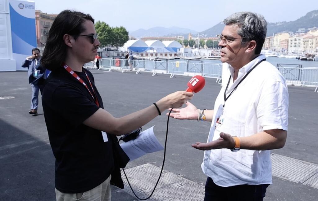 ¿Qué es el krill y por qué ambientalistas quieren prohibir su pesca en ...