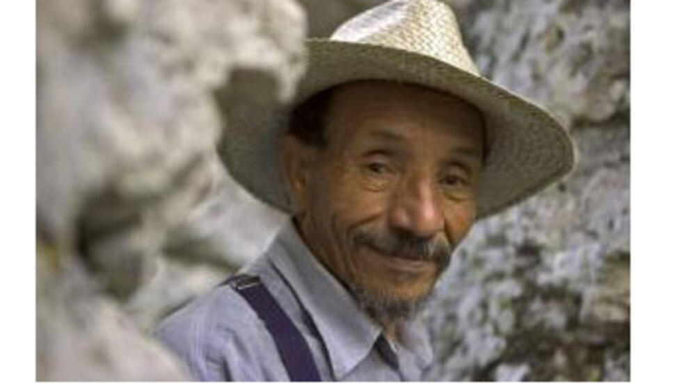 1 - L’agro-écologie : une autre manière de cultiver - C'est pas du vent