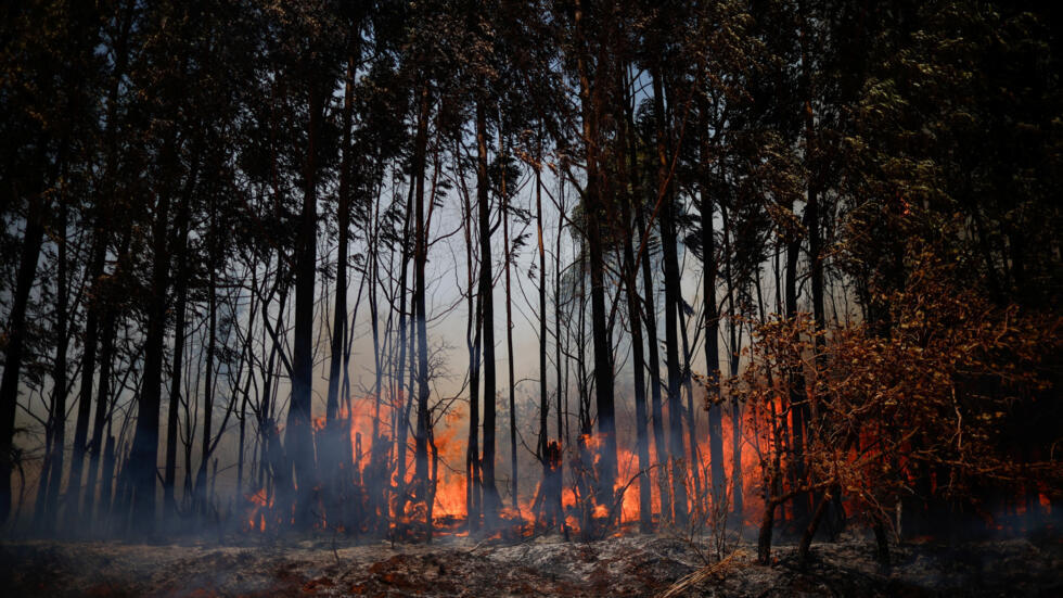 Brasil vive una epidemia de incendios forestales