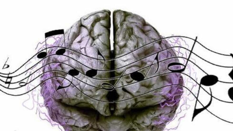 A quoi joue la musique dans notre cerveau ? - Autour de la question, le ...