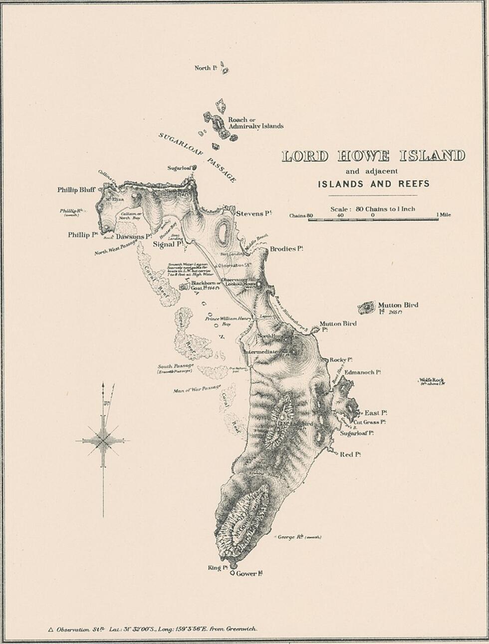 World's southern-most reef, Lord Howe Island, hit by coral bleaching