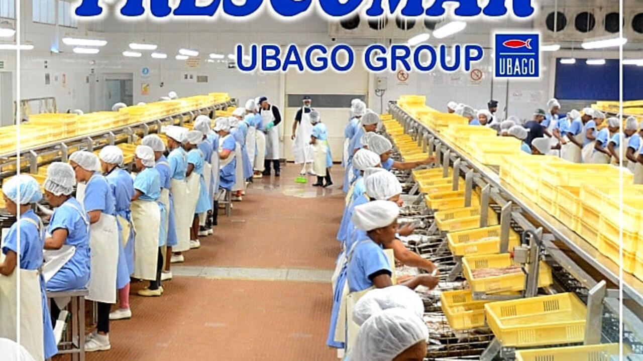 Cabo Verde: 800 trabalhadores da Frescomar em risco de serem despedidos ...