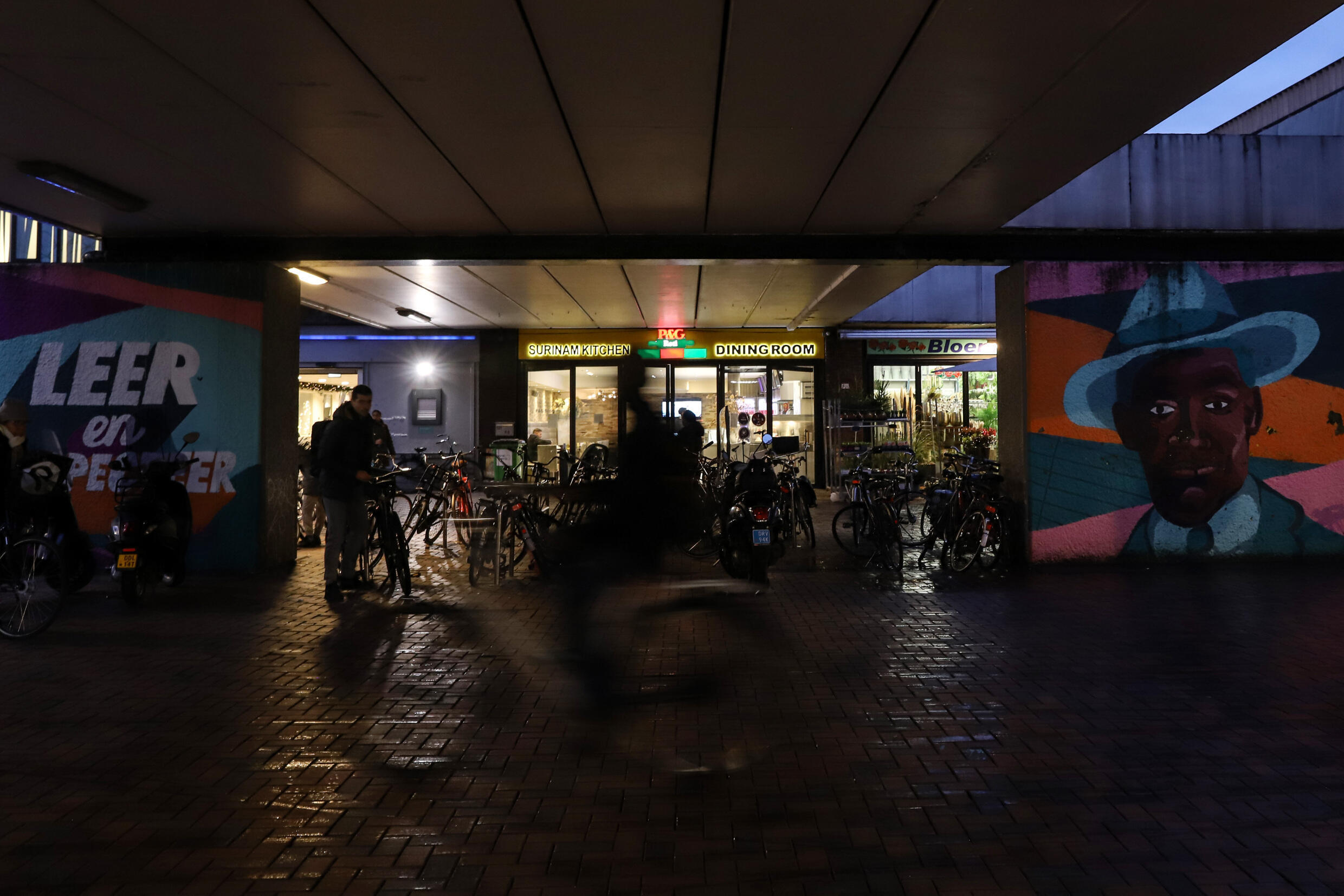 'Proud' Surinamese back Dutch World Cup stars