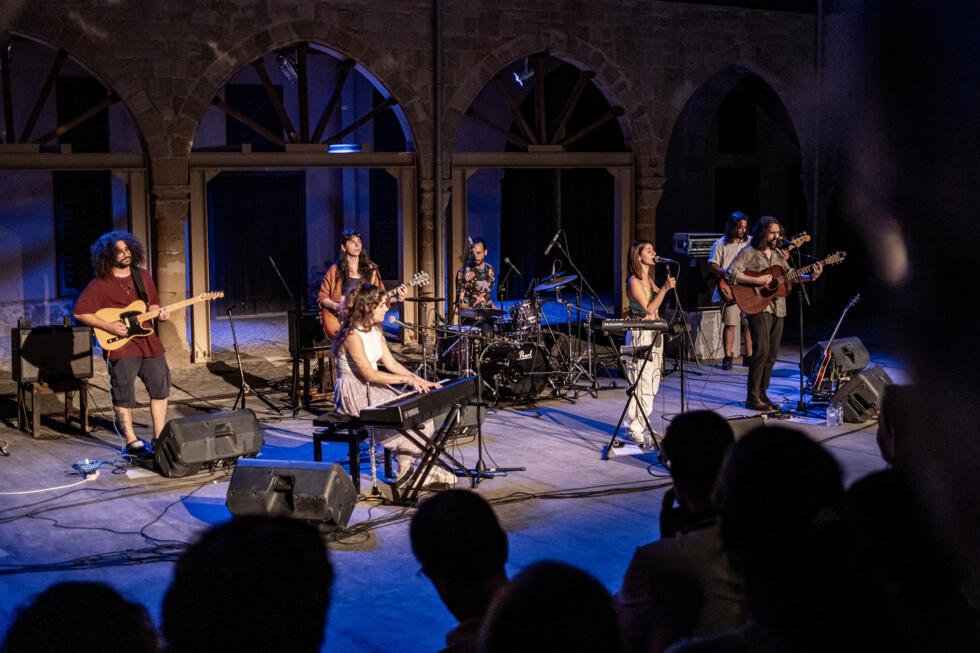 'Common language': divided Cyprus brought together by art