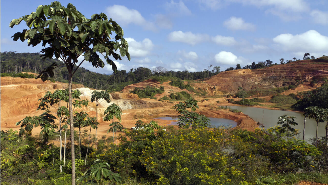 Les jeunesses guyanaises et la Montagne d'or - Grand reportage