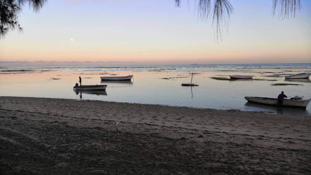 Maurice: d’anciennes pièces de monnaie déterrées lors de recherches du ...