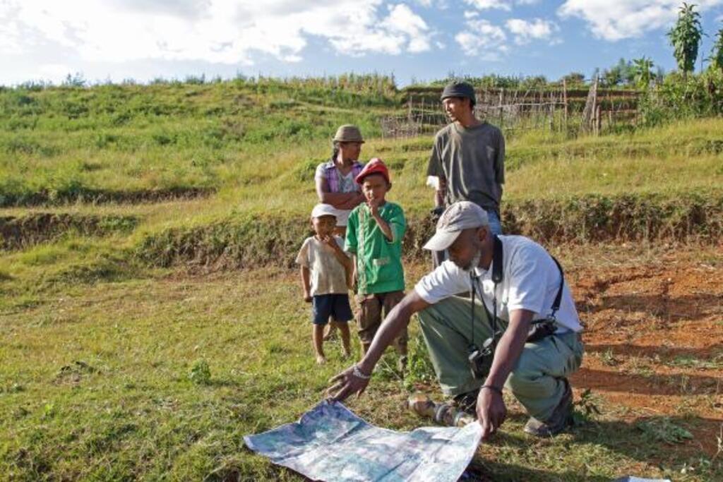 Eleonora's Falcon faces deforestation threat in Madagascar