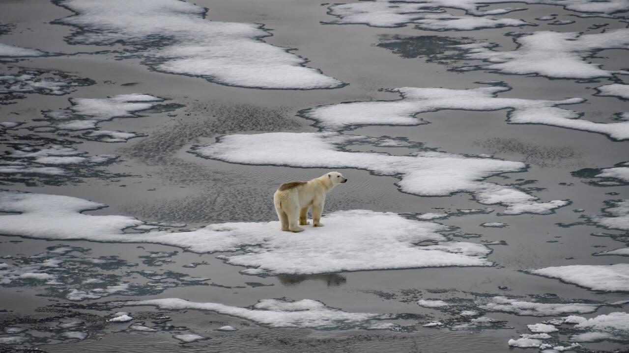 IPCC scientists still hopeful of capping global warming at 1.5°C