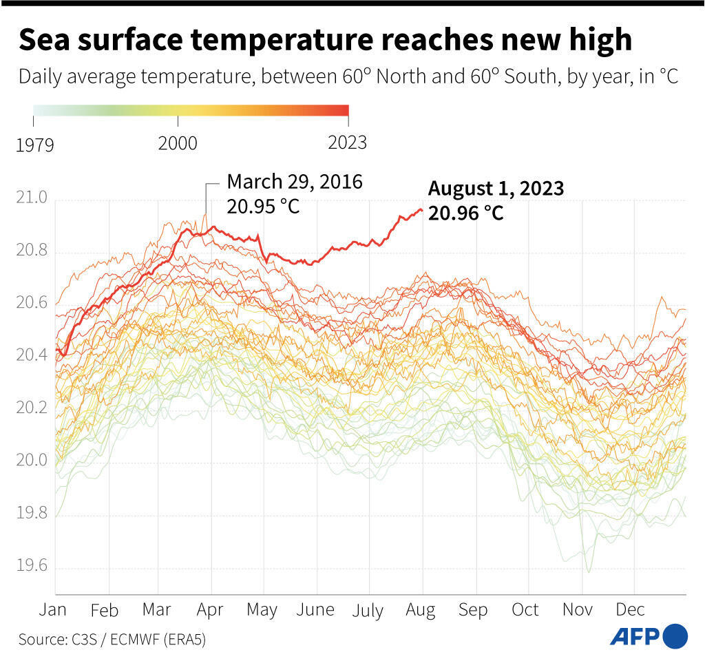 World's oceans set new surface temperature record: EU monitor
