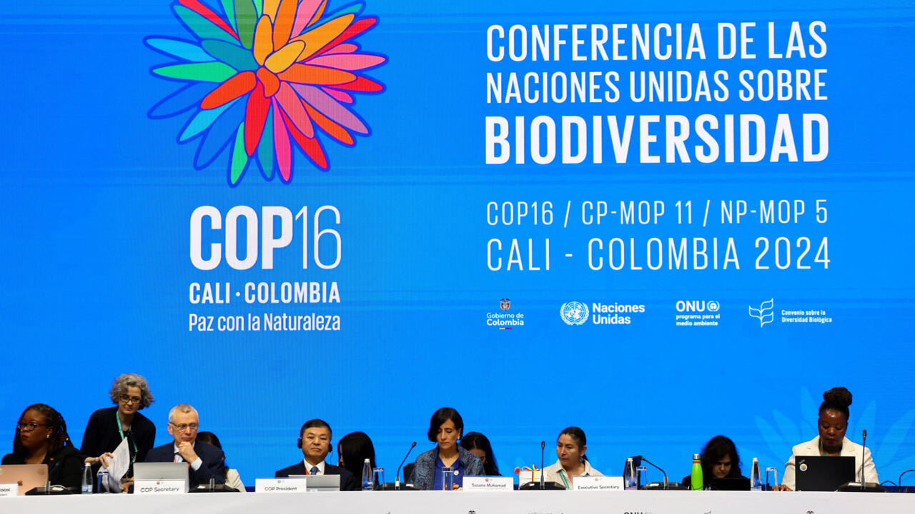 Univalle Estéreo y RFI se unen para cubrir la COP 16 en Cali - París ...