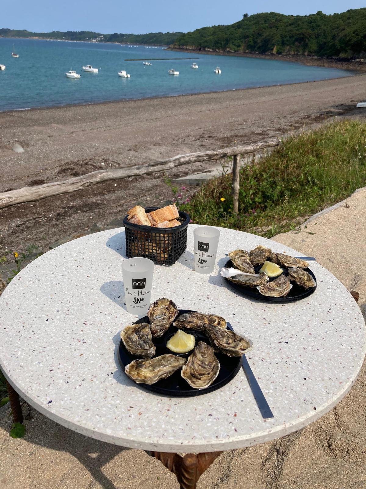 Ostrea design: quatre amis dans le milieu de l’éco-matériau minéral ...