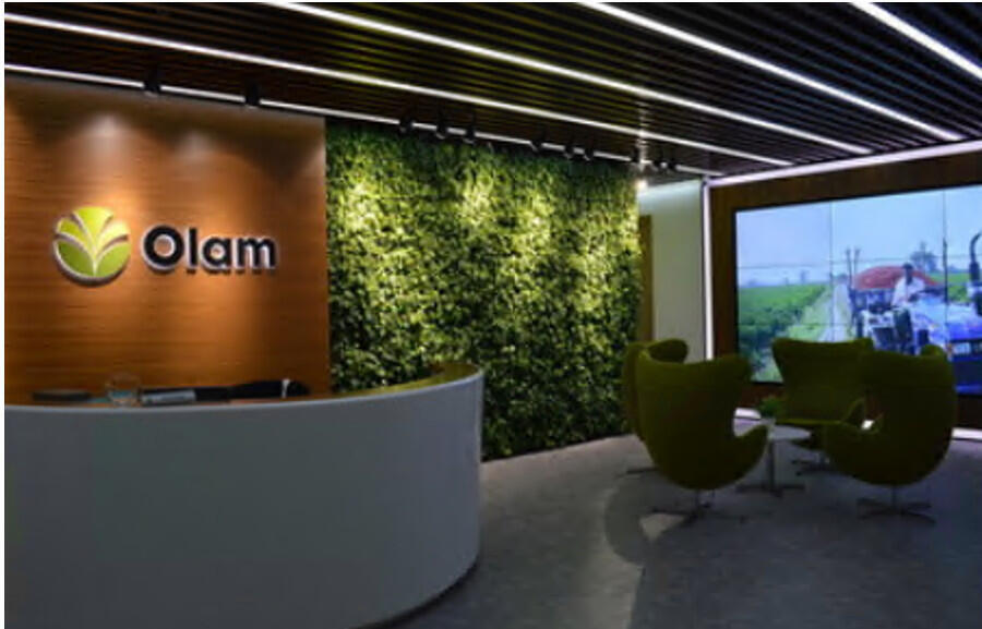 Olam, groupe singapourien de négoce, géant de l’huile de palme ...