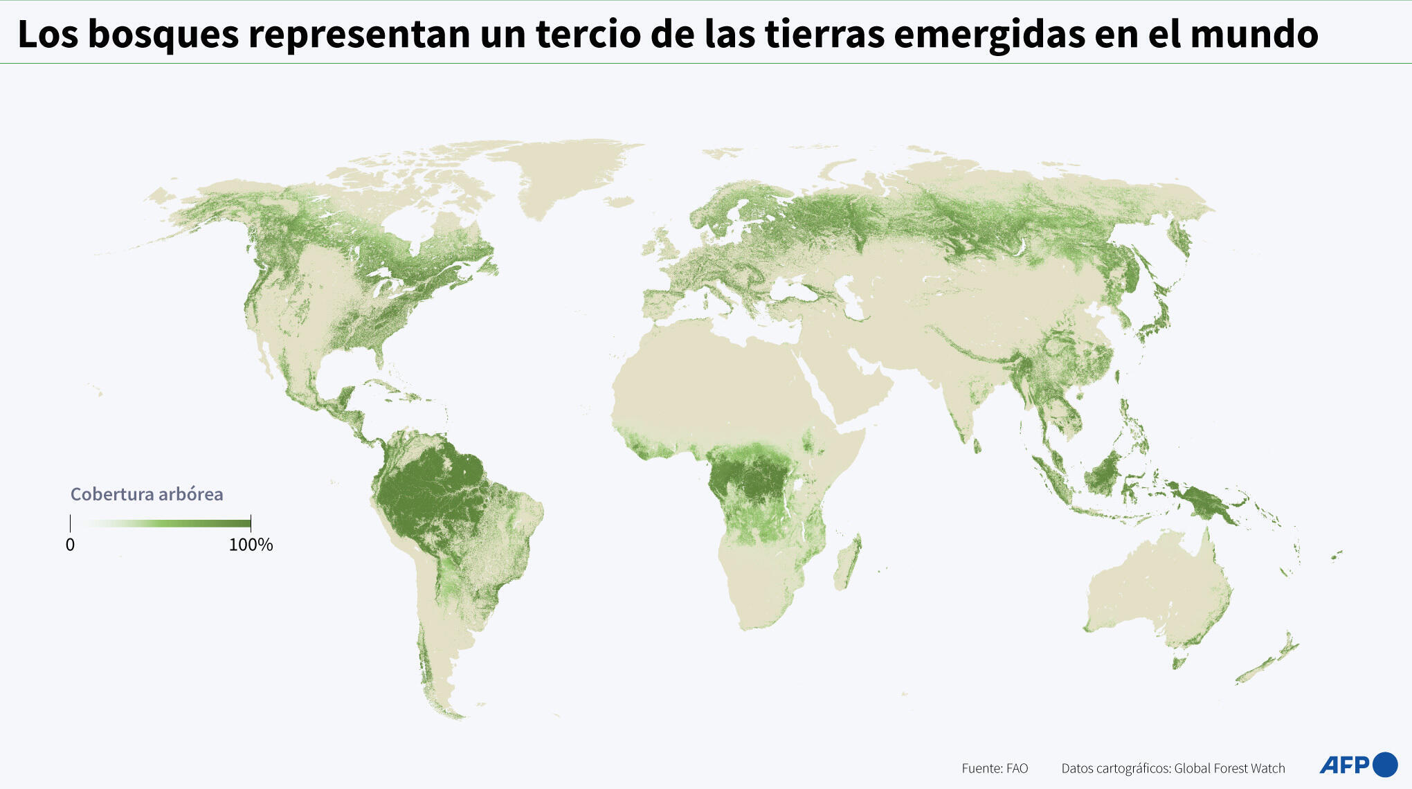 Datos y cifras sobre los bosques, santuarios amenazados del planeta