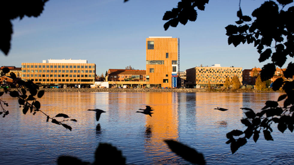 Umeå: le Bildmuseet de la capitale européenne de la culture 2014