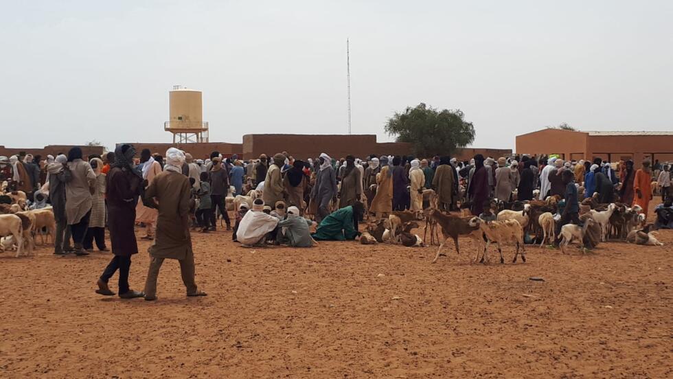 [Reportage] Mali: face à la sécheresse, les éleveurs quittent Ménaka ...