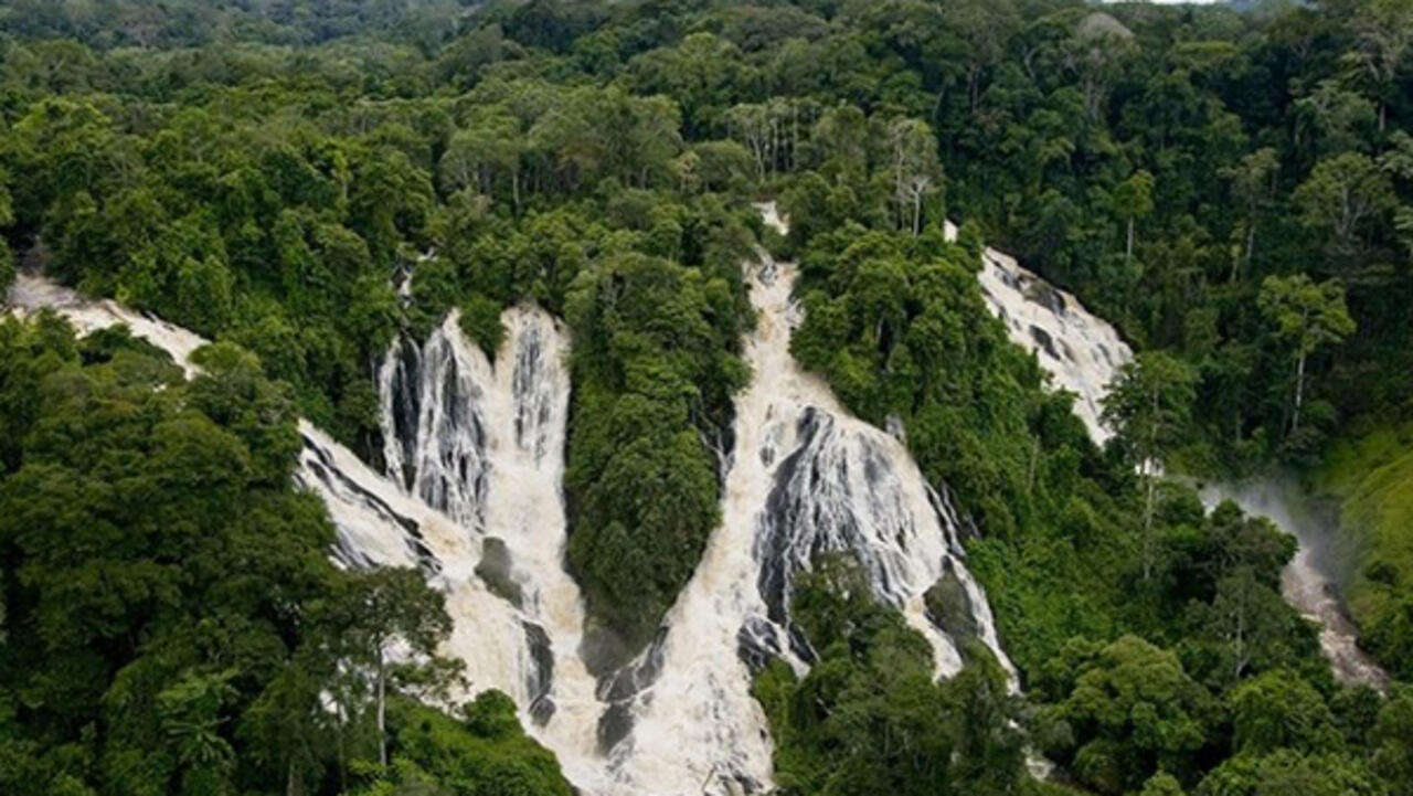 2 - Peut-on protéger les parcs nationaux du Gabon ? - C'est pas du vent