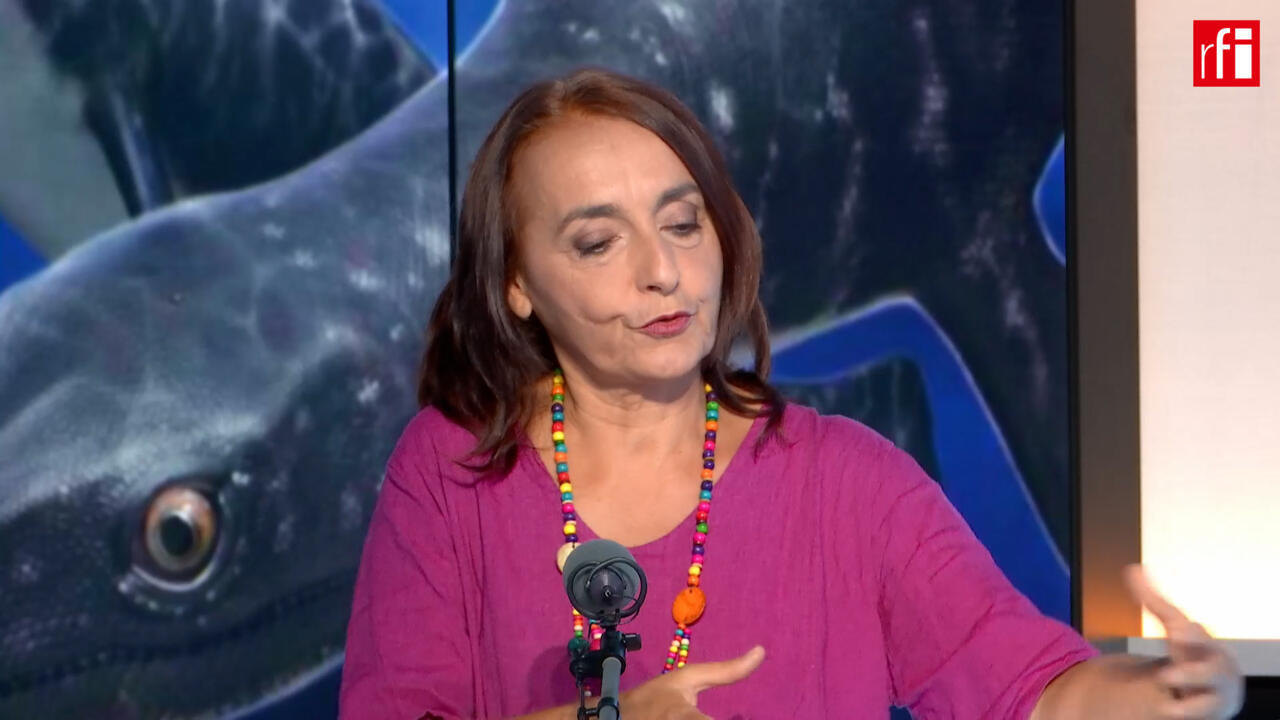 El thalassotitan atrox, un lagarto aterrador que vivió hace 67 millones ...