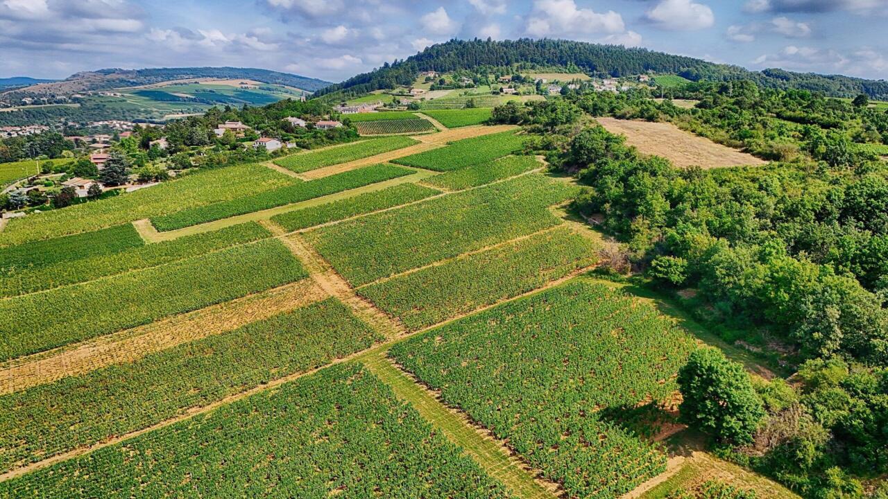 French farmland tainted by widespread microplastic pollution, study ...