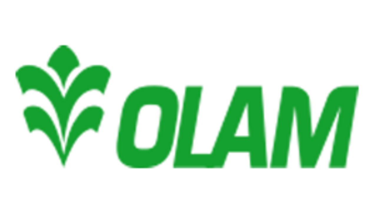 Le groupe industriel Olam reste au Gabon - Afrique économie