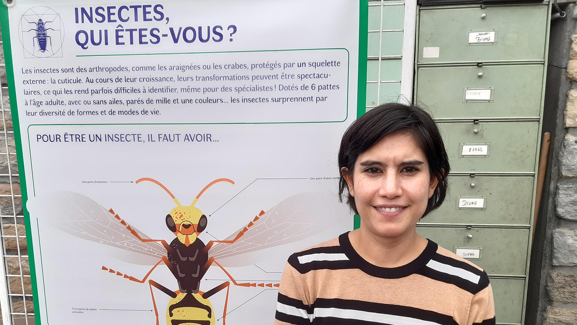 Les insectes au secours de la planète - Le coq chante