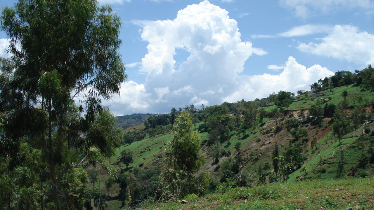 La relance agricole, enjeu crucial pour Haïti - Grand reportage