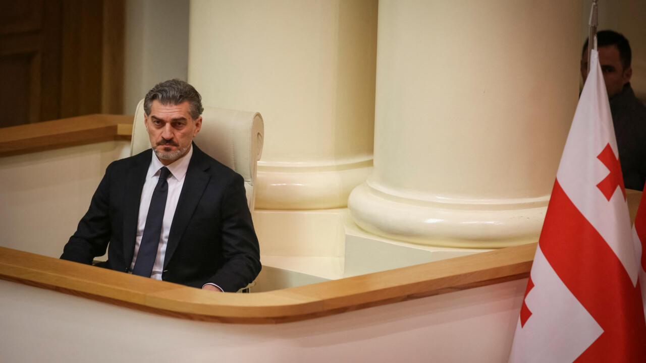 Designado como nuevo presidente de Georgia el ultraderechista Mijeil ...