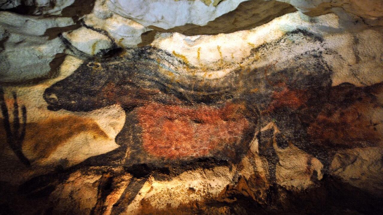 Marking 80 years since the discovery of Lascaux's ageless prehistoric ...