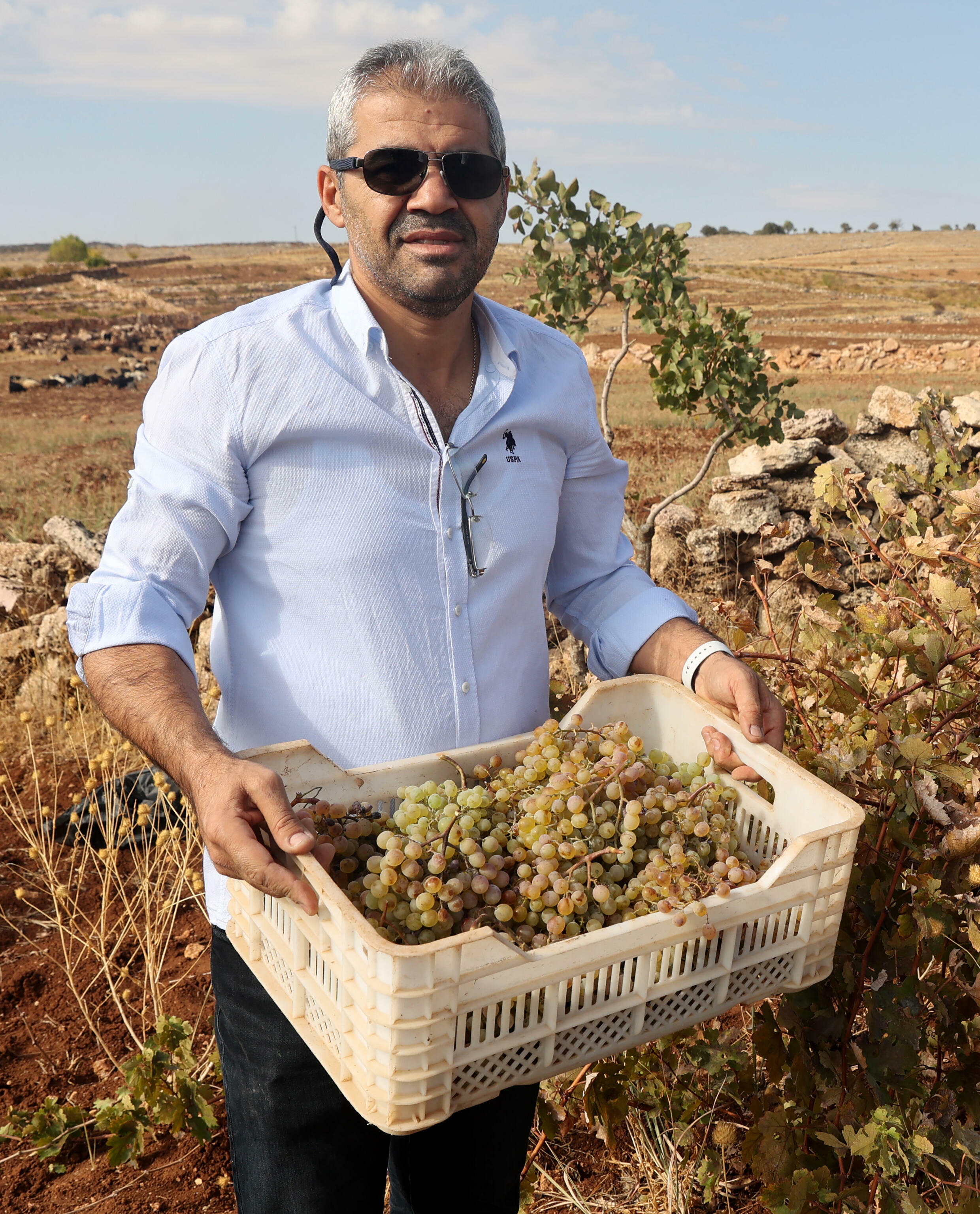 'Eternal' wine revives Assyrian culture in Turkey