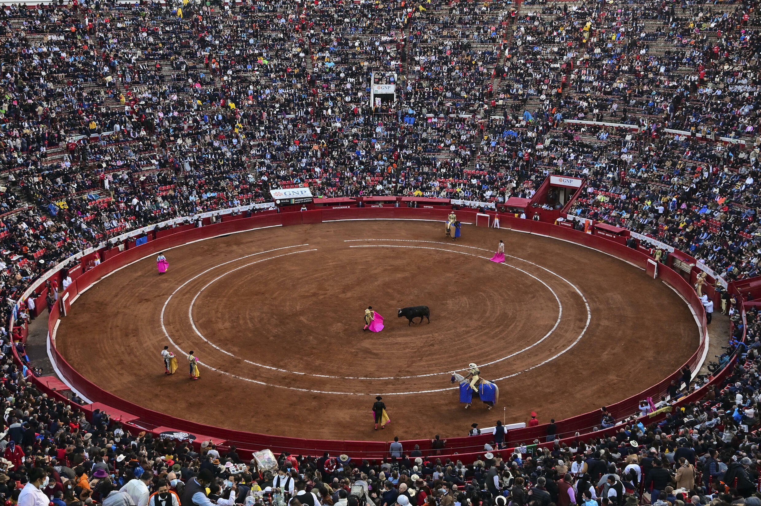 Mexico City, bastion of bullfighting, considers ban