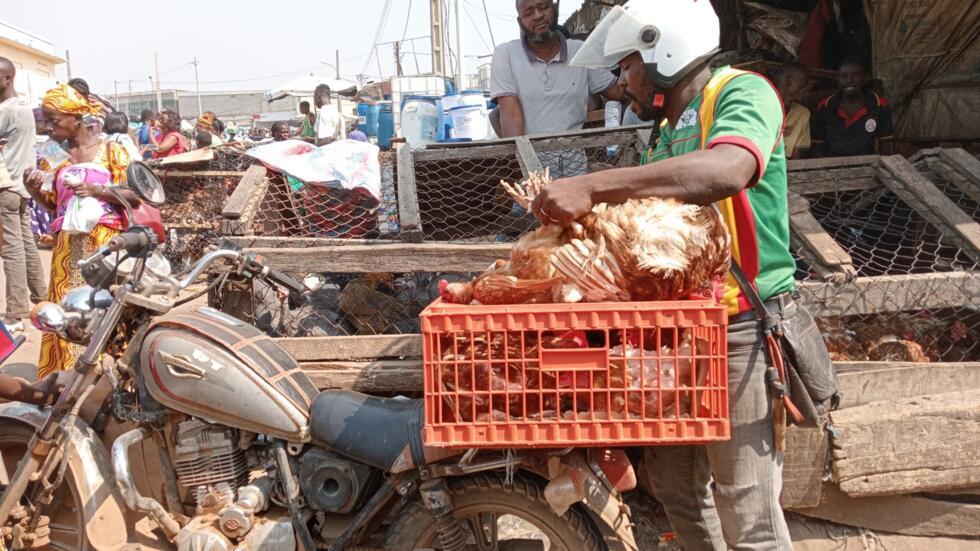 An ka bi laseli bɛ taa n'an ye Bouaké suguba la ka kuma kamanmafɛnw ...