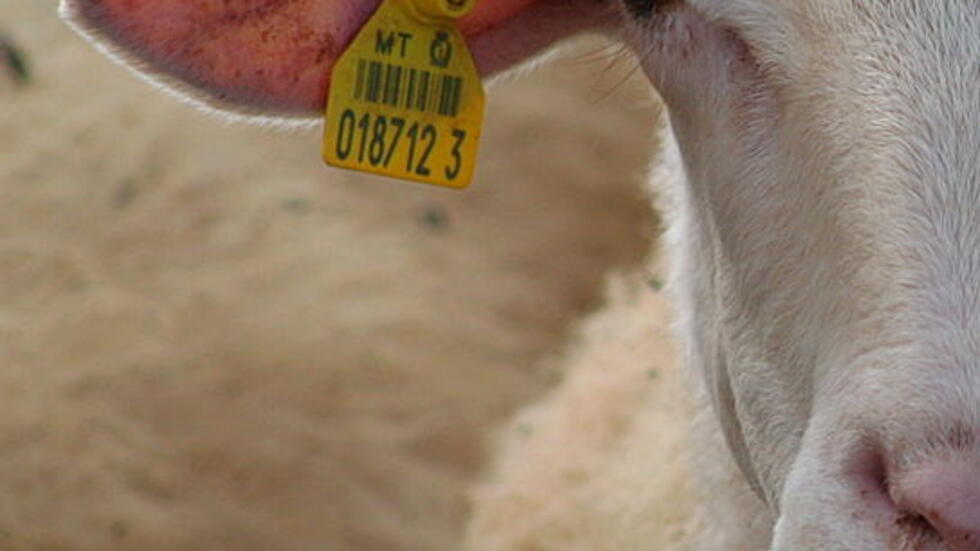 How agricultural technology is helping farmers - Webwatch