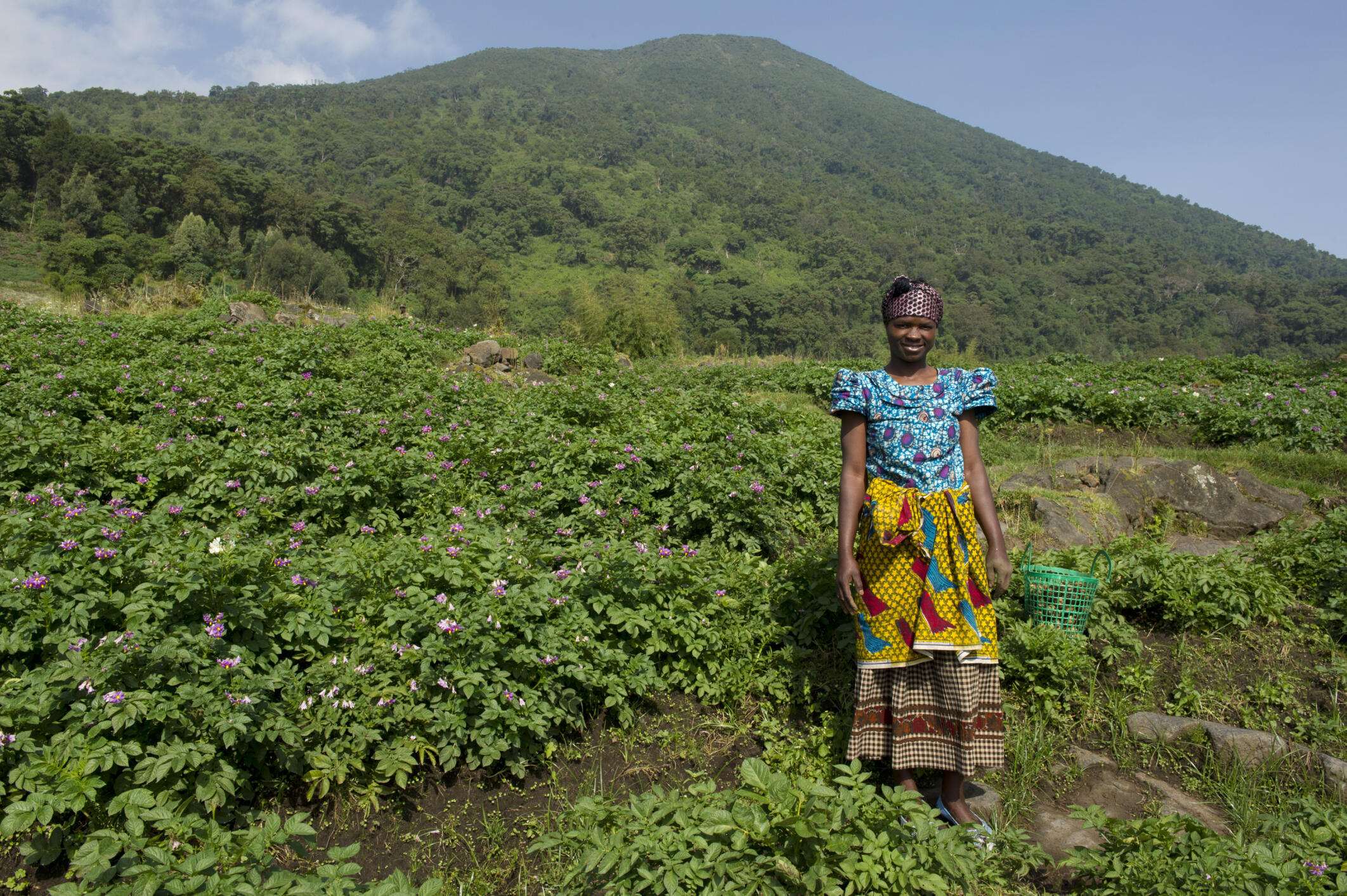 L'agriculture au Rwanda, le retour - Afrique économie