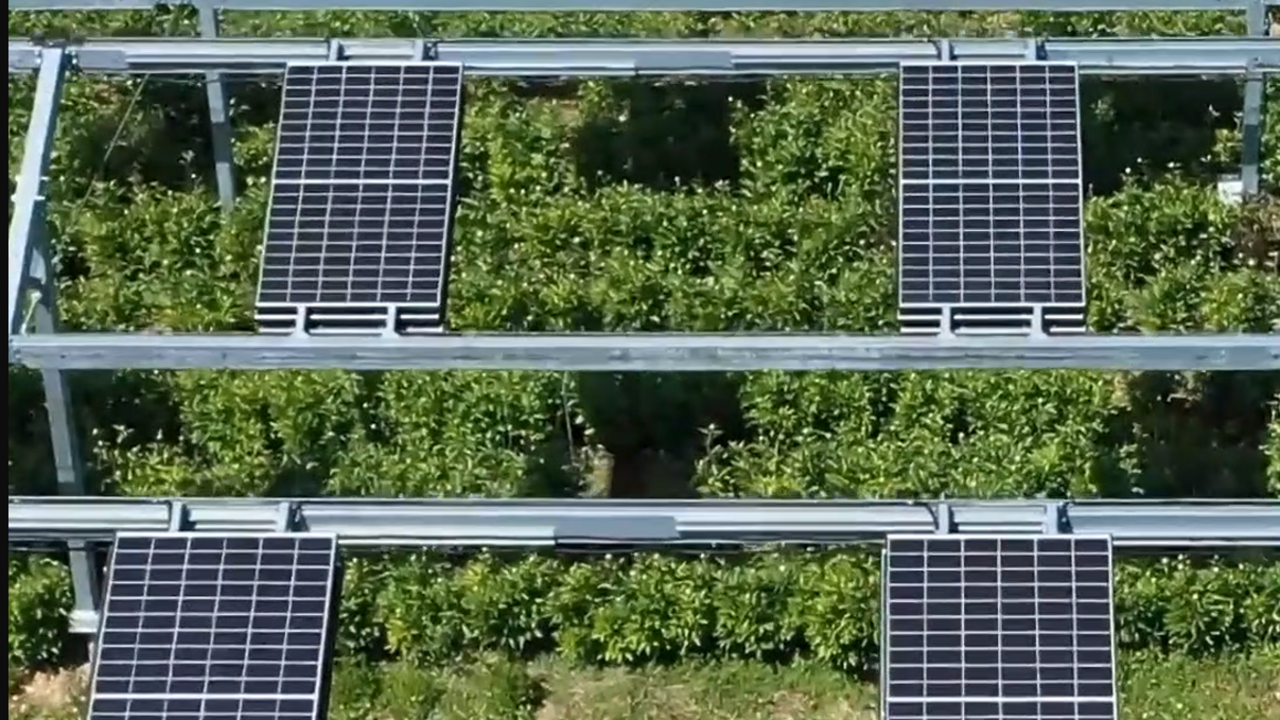 Ombrea, l'entreprise qui a trouvé comment protéger les cultures des ...