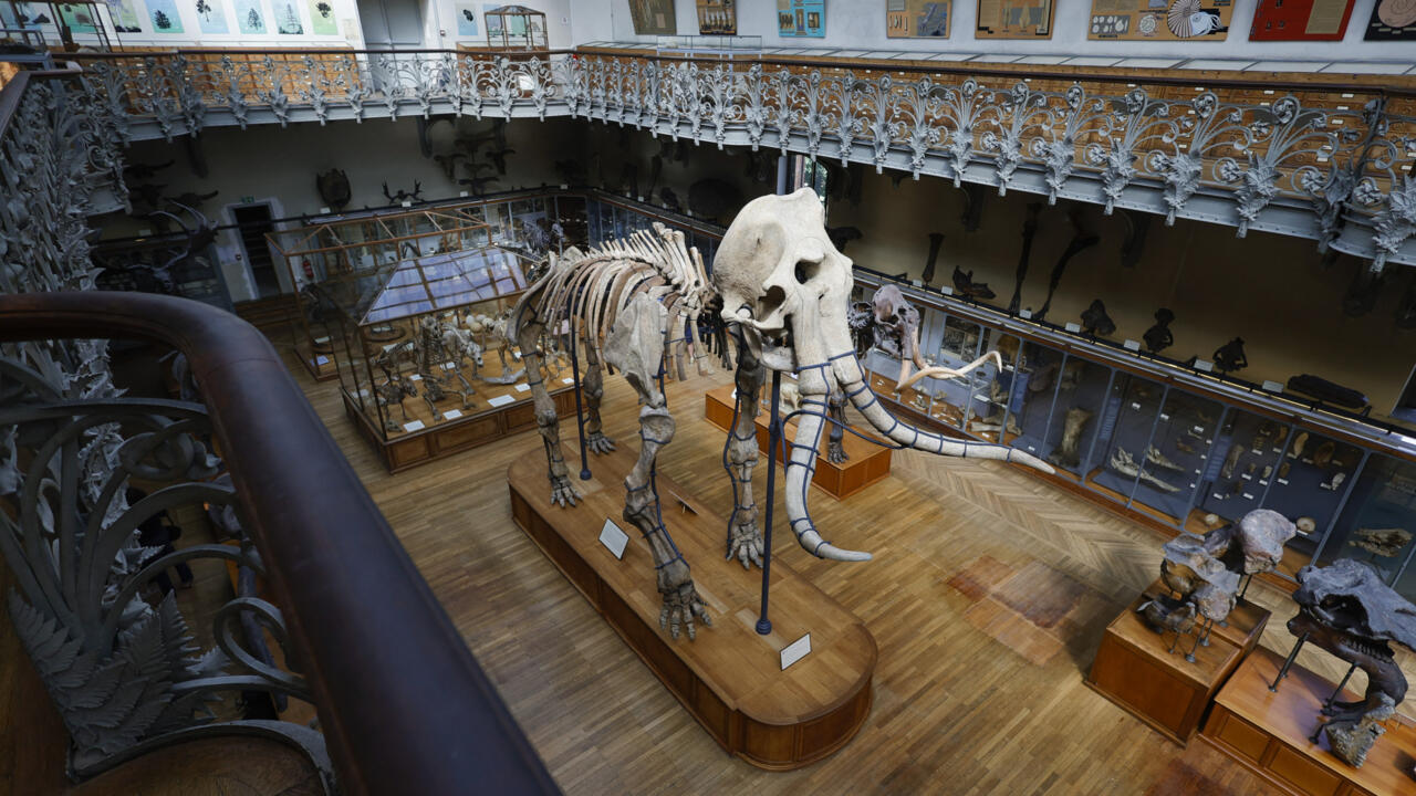 Woman arrested following September gold theft at Paris museum