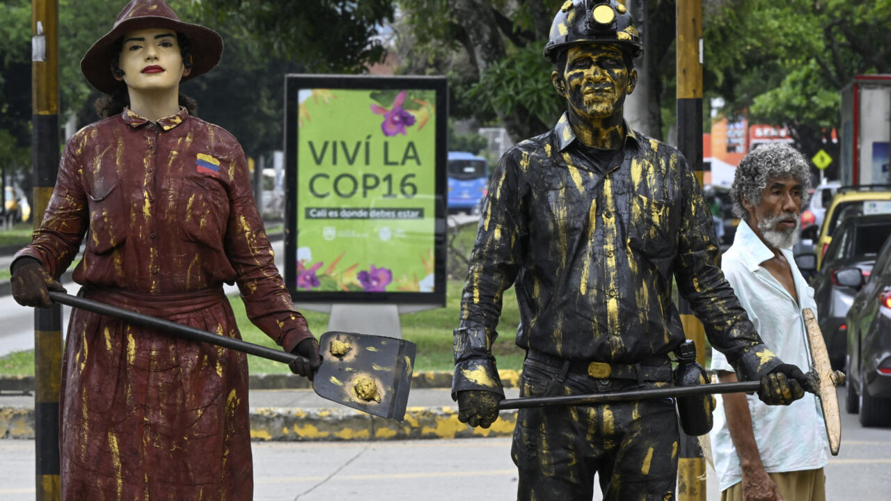 Los moteles del amor en Cali se adaptan para hospedar delegados de la COP16