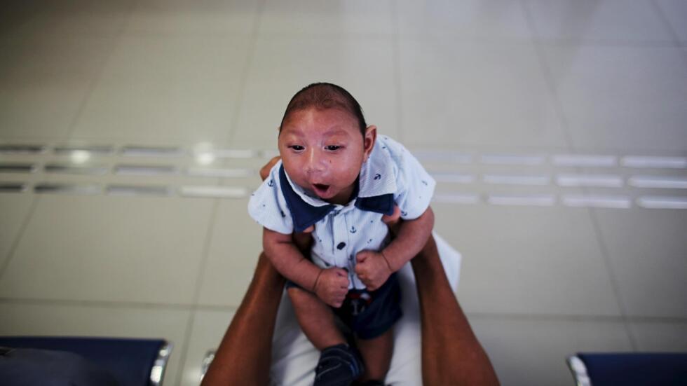 ¿Un pesticida responsable de la microcefalia? - Vida en el Planeta