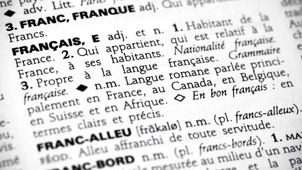 Langue française: comment des nouveaux mots entrent dans les dictionnaires?