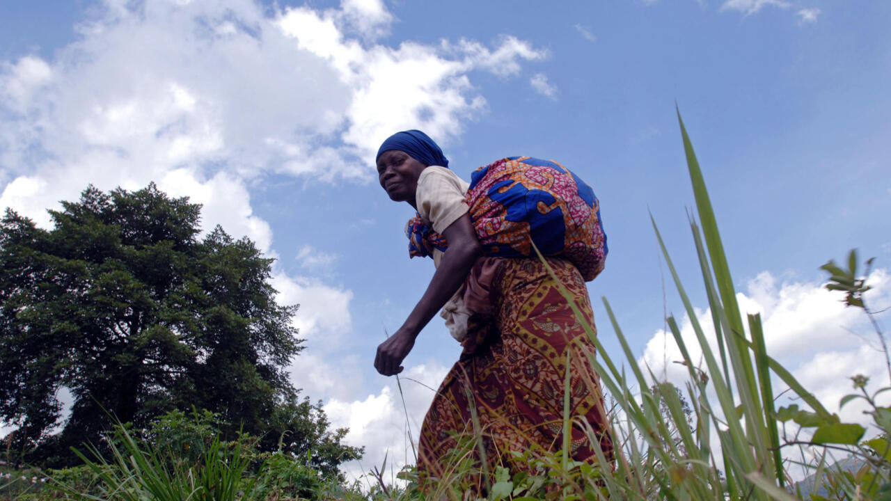 RDC: questionnements autour du sort des ADF-Nalu et de leurs otages