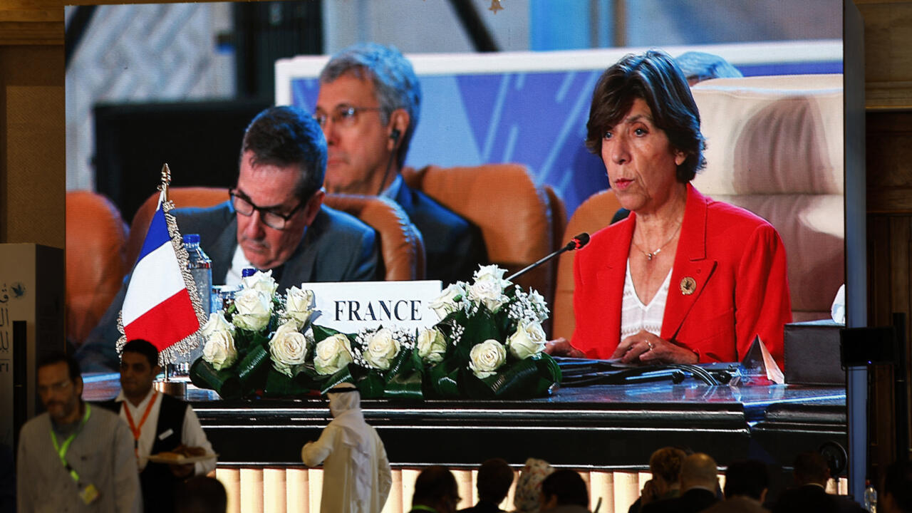 Egypt peace summit seeks to foster unity on Gaza conflict