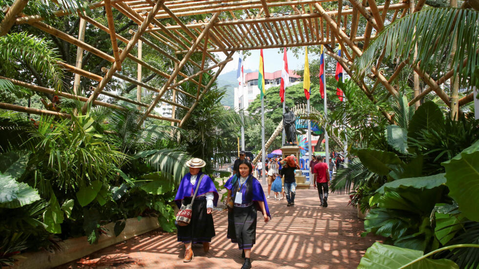 COP16 da Biodiversidade começa segunda semana na Colômbia com poucos ...