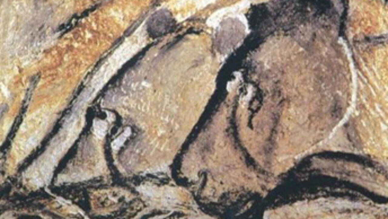 UNESCO declara Patrimonio Mundial la Cueva de Chauvet - Francia hoy