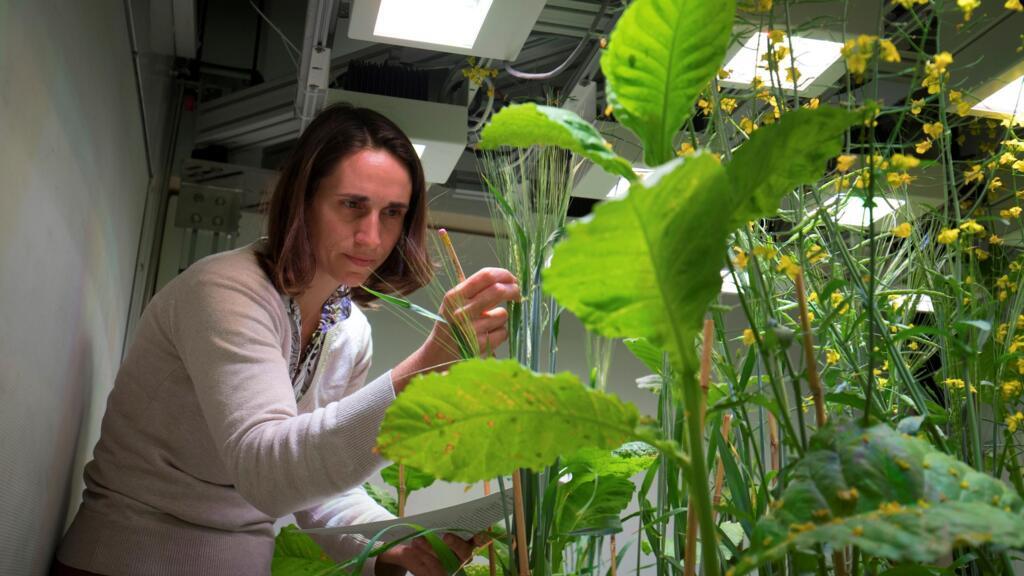 Employees at France's public research body up in arms over funding ...