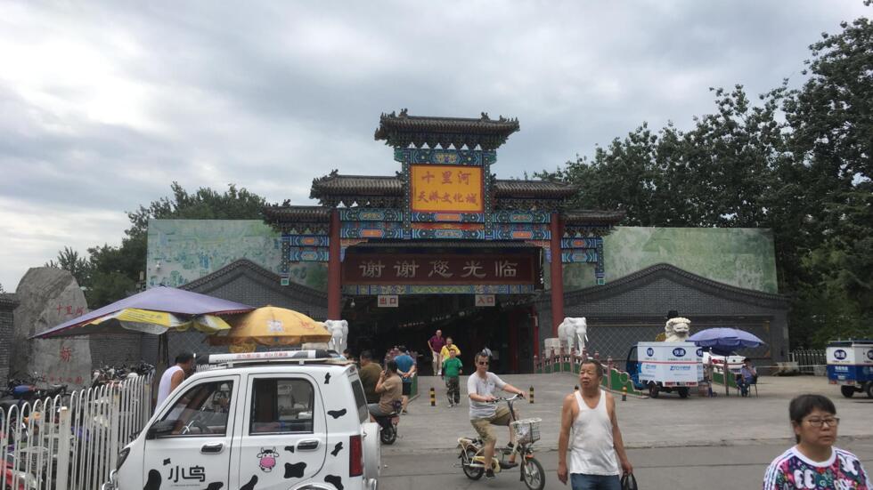 Pékin, Shilihe: le marché des insectes de compagnie - Marchés du monde