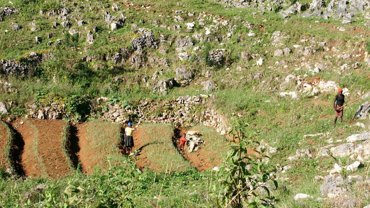 1. Comment lutter contre la dégradation des sols? - C'est pas du vent