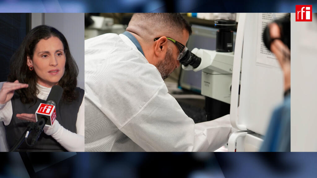 Un laboratorio francés desarrolla un prometedor implante de retina ...